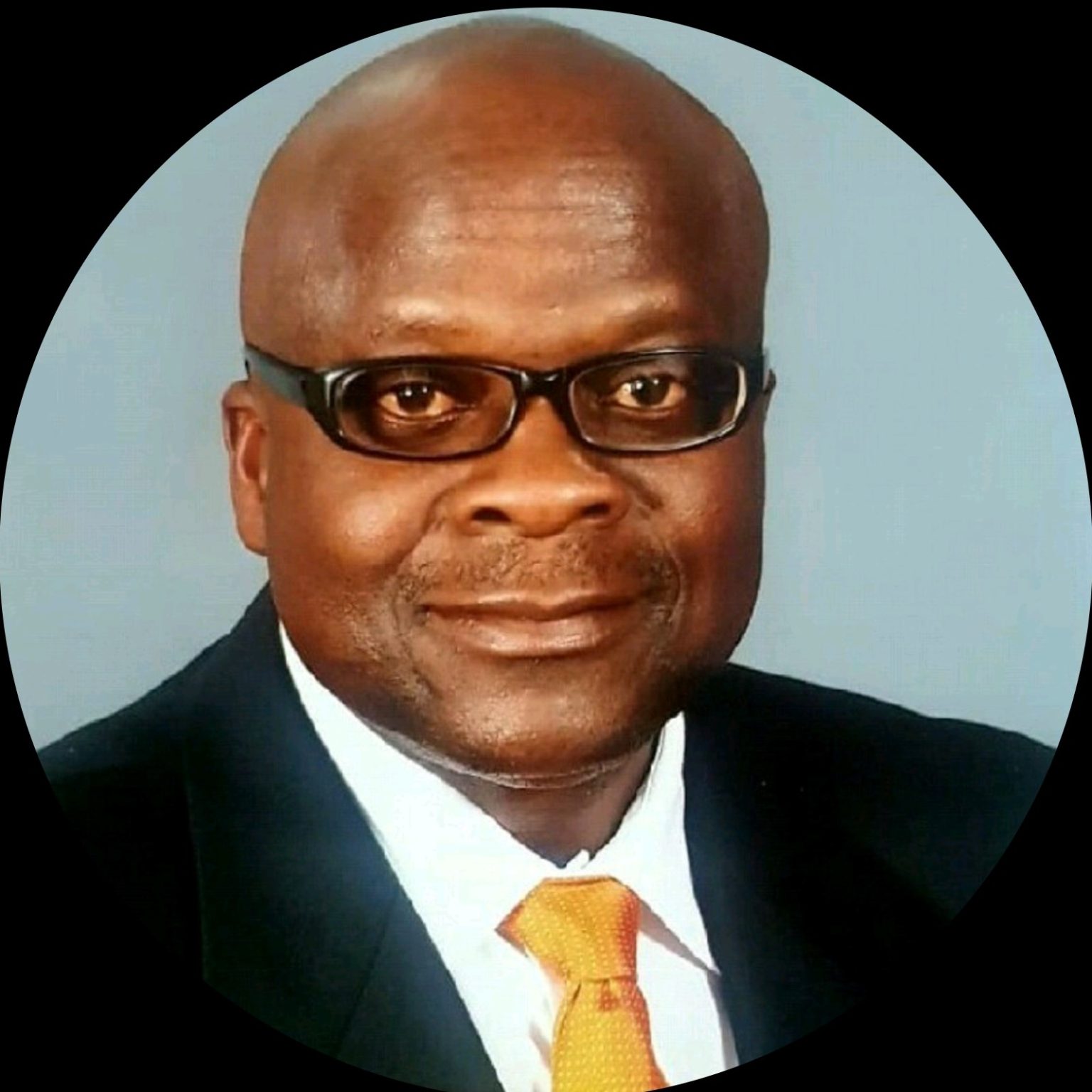 Institute of Governance, Diplomacy and Development – SINU